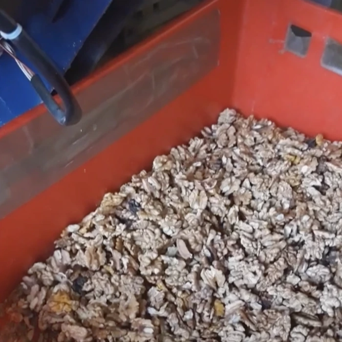 Cassage, énoisage et triage des noix - Noix Bio Direct Producteur